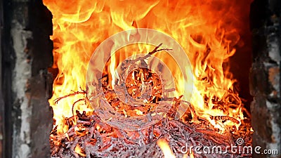 Blaze Fire Flame stock video. Video of bonfire, light - 171439639