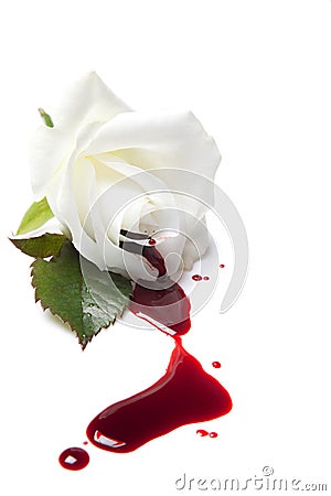 Bleeding White Rose
