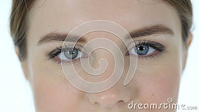 Blinking Eyes of Woman stock video. Video of businesswoman - 89132937