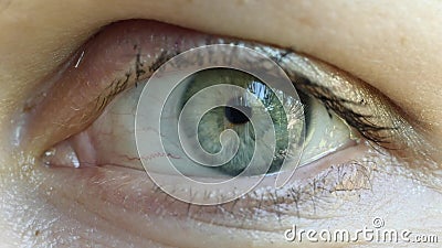 Blinking Human Eye, Extreme Closeup, Macro 4K UHD. Stock Video - Video ...