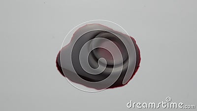 Blood Drop Falls on the Floor. Macro Shot. Stock Footage - Video of ...