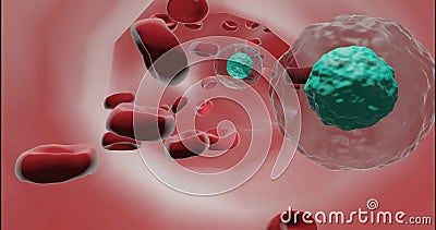 Blood flow in 3d animation stock footage. Video of blood - 192971700