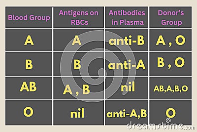 Blood Group Differentiation Chart Biology Illustration Stock Image ...