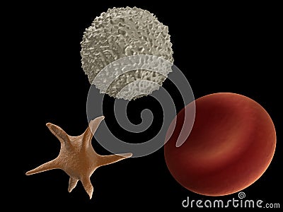 Blood Parts Stock Image - Image: 5563351