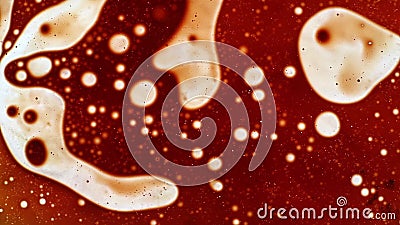 Blood Under a Microscope. Fluid Movement. Stock Footage - Video of ...