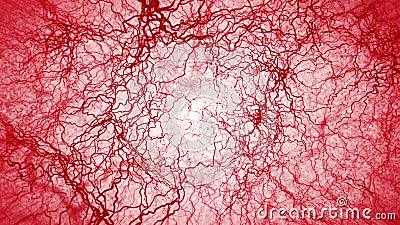 3D Loop Animation of Human Blood Vessel. Red Capillaries. Eye Blood on ...