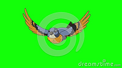 Blue Bird Flies. Front View Stock Footage - Video of bird, forest: 91086458