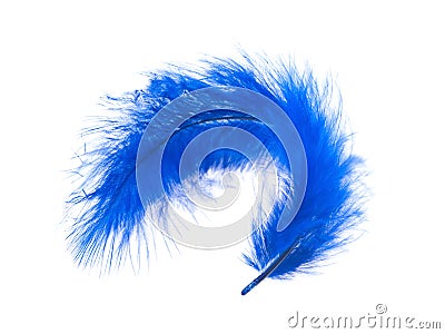 Blue Curved Feather Royalty Free Stock Photos - Image: 18930638