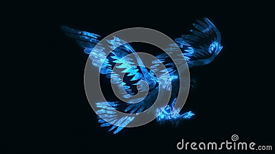 Blue Eagle Hawk Animated Logo - Loop Graphic Element Overlay Stock ...