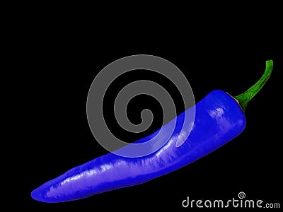 Blue Hot Chili Stock Photo - Image: 94970