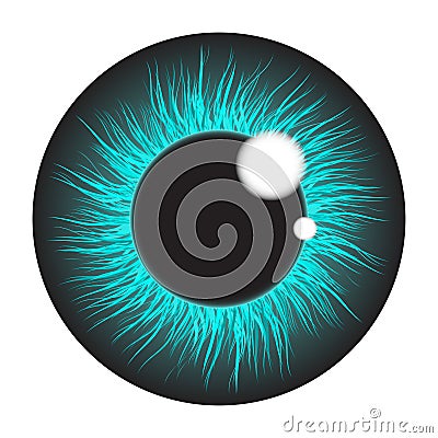 Blue Iris Eye Realistic Vector Set Design Isolated On White Bac ...