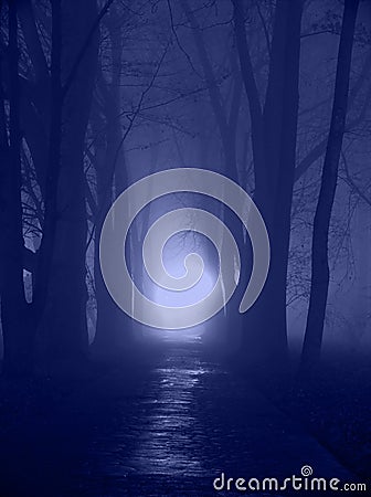 Walled garden stock photo. Image of park, flowers, tranquil - 854076