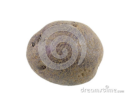 Blue Potato Royalty-Free Stock Photo | CartoonDealer.com #200841