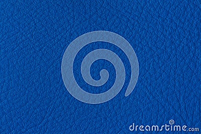 Blue Skin Texture Royalty-Free Stock Photography | CartoonDealer.com ...