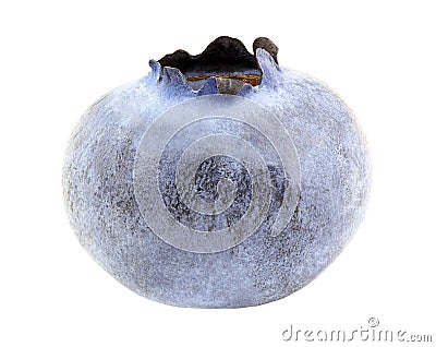 Blueberry Whole One Berry Blue Isolated On White Background With ...