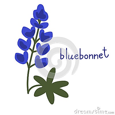 Bluebonnet Vector Flower | CartoonDealer.com #210264816
