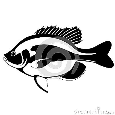 Bluegill Fish, Vector Illustration, Black Silhouette, Side ...
