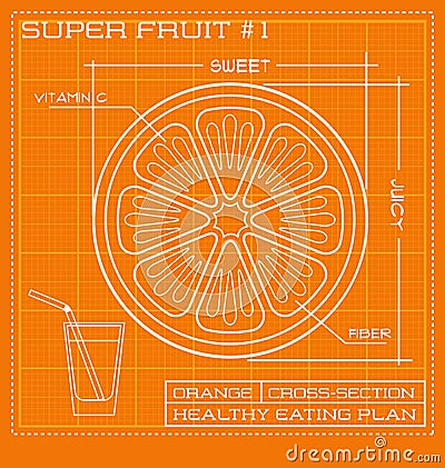 Blueprint Diagram Line Drawing Of An Orange. Stock Vector - Image: 59059911