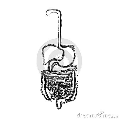 Blurred Realistic Silhouette Human Digestive System Vector Illustration ...