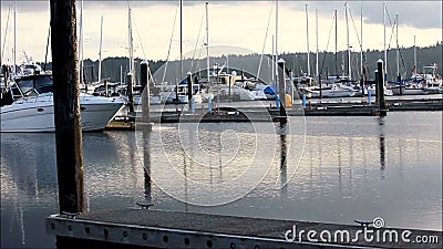Boats in Slips on an Evening Dock Stock Footage - Video of ocean ...