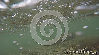 Bobbing on the Surface 4k Video Stock Video - Video of 1080p, bobbing ...