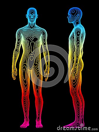 Body Analysis Royalty-Free Stock Photo | CartoonDealer.com #5838867