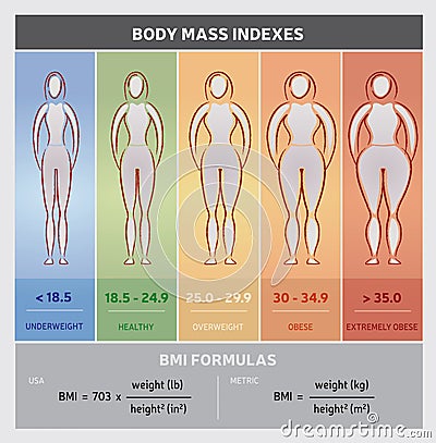 Body Mass Index Diagram Graphical Chart With Body Silhouettes, Five ...