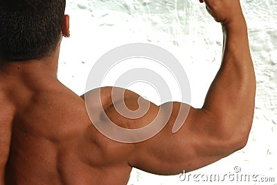 Bodybuilder Flexing Arm Stock Images - Image: 9438704