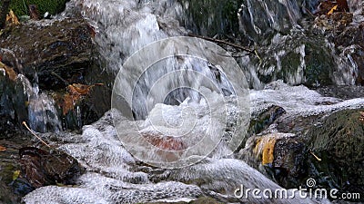 Boiling Alive Clear Water of the River Beating Against the Rocks ...