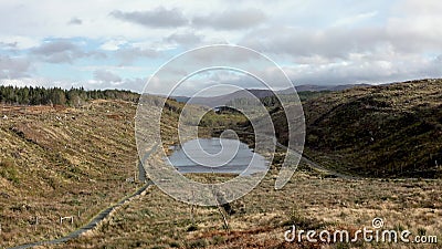 Bonny Glen after the Deforestation and Reforestation in County Donegal ...