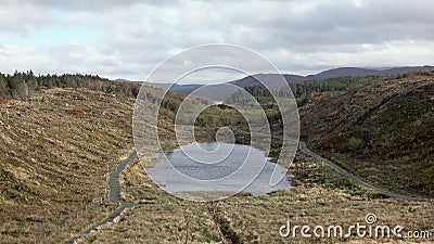 Bonny Glen after the Deforestation and Reforestation in County Donegal ...