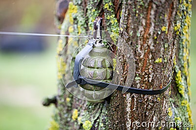 Tripwire Bomb Photos - Free & Royalty-Free Stock Photos from Dreamstime