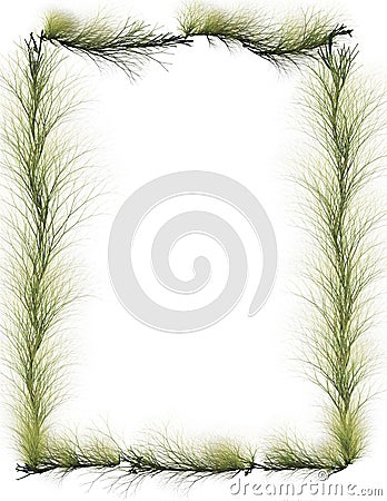 Border: Evergreen Branches Royalty Free Stock Photography - Image: 5410827