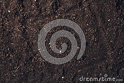 Botany Humus Compost Mix Top View Royalty-Free Stock Photography ...