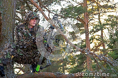 Bow Hunter In Tree Royalty-Free Stock Photo | CartoonDealer.com #8639823