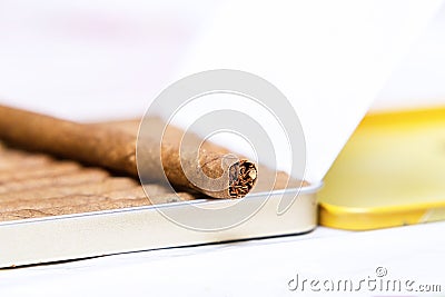Box Of Cigarillos On A White Background. On The Box Is One Cigarillo ...