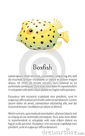 Boxfish Animal Poster Set Vector Illustration | CartoonDealer.com ...