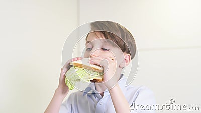 The Boy Eats a Delicious Sandwich of Toast Bread, Vegetables, Cheese ...