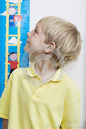 Boy Measuring Height In Classroom Stock Image | CartoonDealer.com #29662615