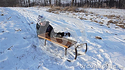 Chickens on the bench stock footage. Video of chicken - 58005518
