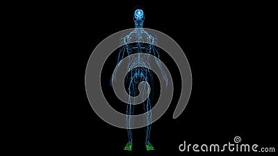 Brain Receiving Signals To All Parts of the Body Stock Video - Video of ...