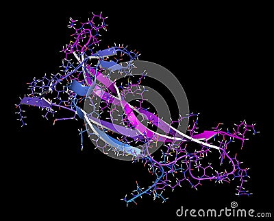 Brain-derived Neurotrophic Factor (BDNF) Protein Molecule Royalty-Free ...