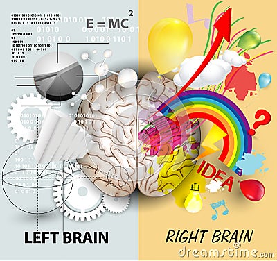 Brain Functions Cartoon Vector | CartoonDealer.com #49042979