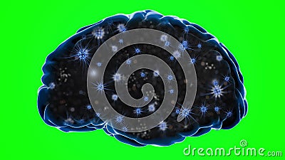 Brain Impulses. Neuron System. Human Anatomy. Transferring Pulses and ...