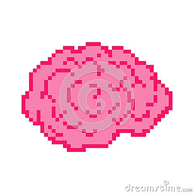 Brain Pixel Art 8 Bit. Brains Pixelated. Vector Illustration ...