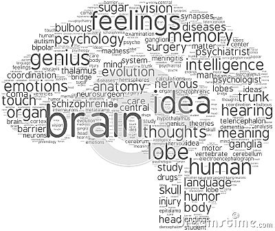 Brain Tag Cloud Pictogram Stock Image | CartoonDealer.com #24983161