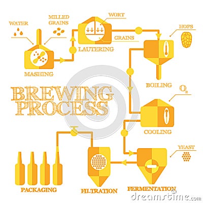 Brewing Infographic Vector Illustration | CartoonDealer.com #59098888