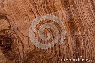 Briar-root Wood Texture Royalty-Free Stock Photography | CartoonDealer ...
