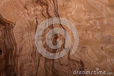 Briar-root Wood Texture Stock Photo | CartoonDealer.com #30333870
