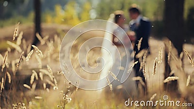 Bride and groom - blurry stock video. Video of autumn - 55564591